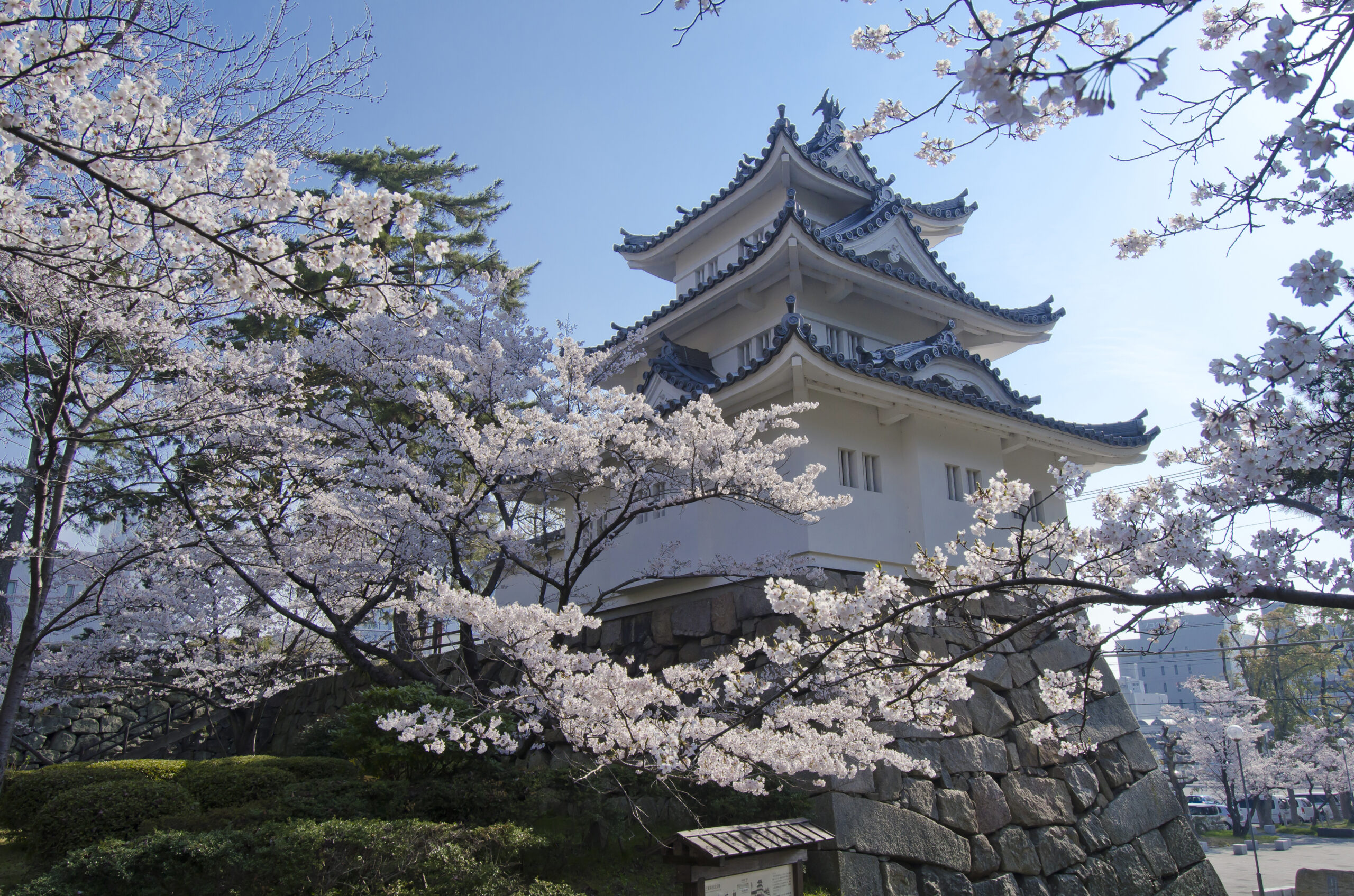 観光産業 | 三重県議会議員 青木けんじゅん